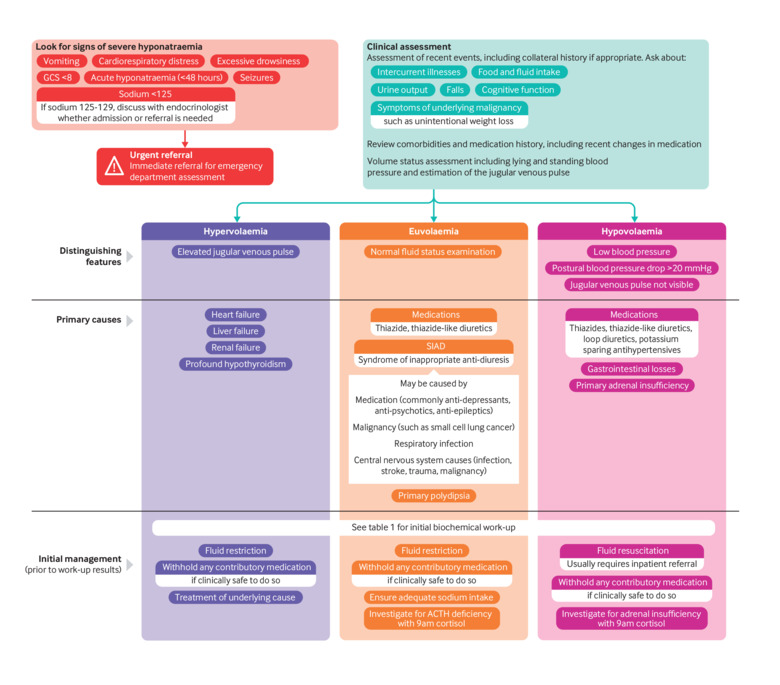 Hyponatraemia in primary care | The BMJ