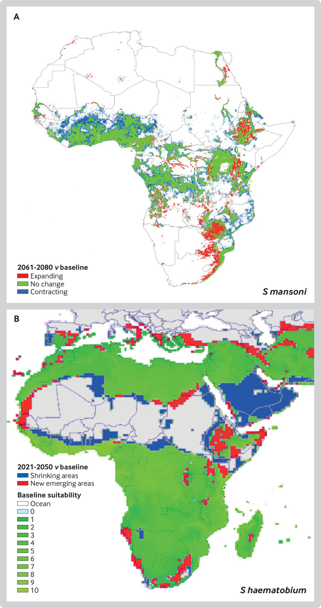 Schistosomiasis and climate change | The BMJ