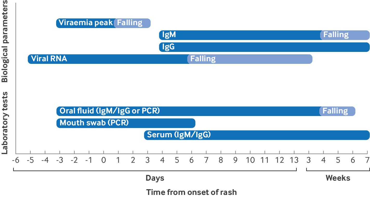 How to recognise and manage measles | The BMJ