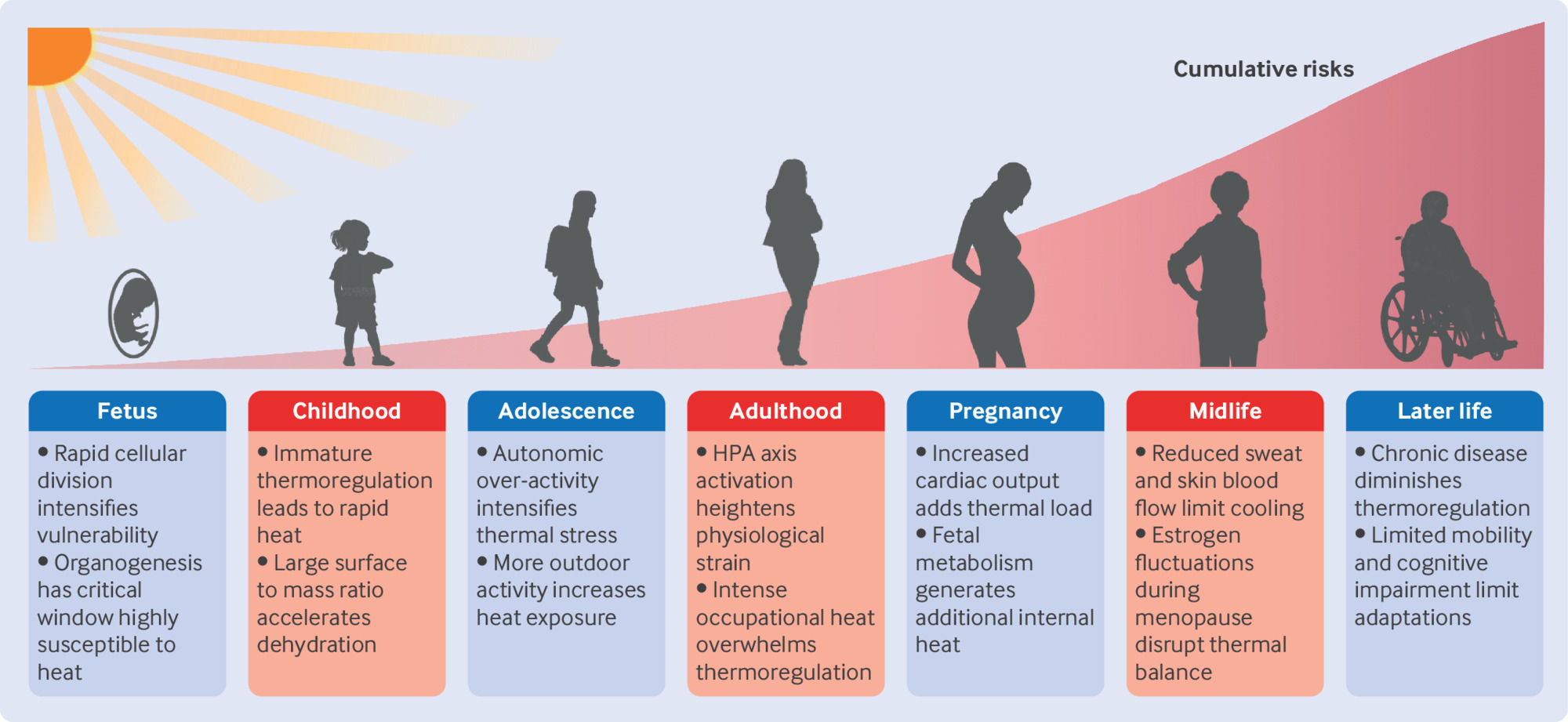 Effects of extreme heat on physiology, morbidity, and mortality under ...